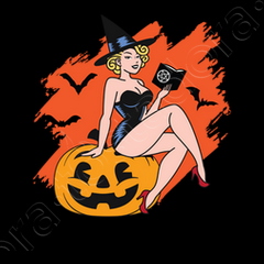 Pin up witch retro vintage halloween kids t sh. tostadora